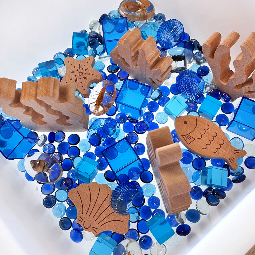 Marine Life Sensory Play | Educating Kids