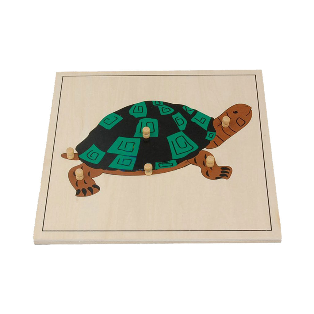 Turtle Puzzle | Educating Kids