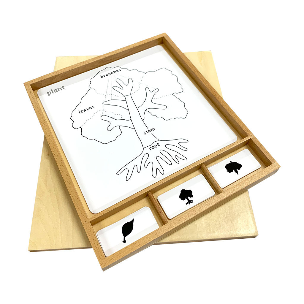 Botany Puzzle Activity Set | Educating Kids